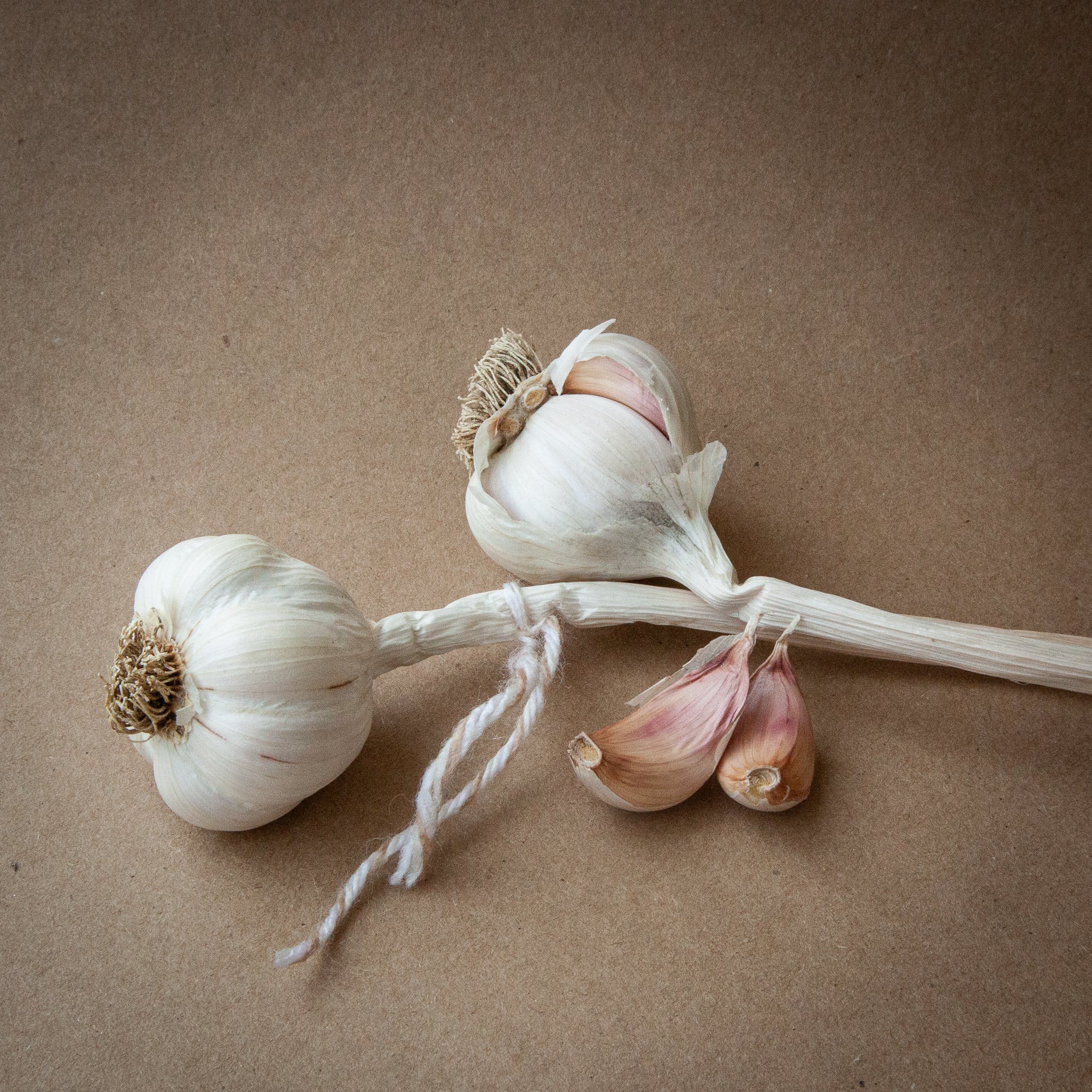 California Late garlic, artichocke, softneck variety – Garlicloves