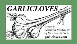 About Garlicloves, Ontario garlic farmers, Kawartha Lakes, Haliburton